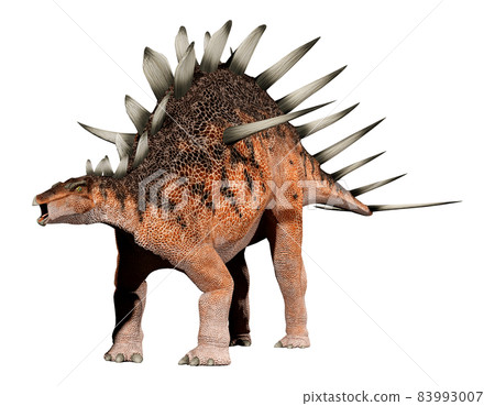 Kentrosaurus ☆ Kentrosaurus - Stock Illustration [83993007] - PIXTA