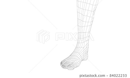 Wireframe leg. Close-up view - Stock Illustration [84022233] - PIXTA