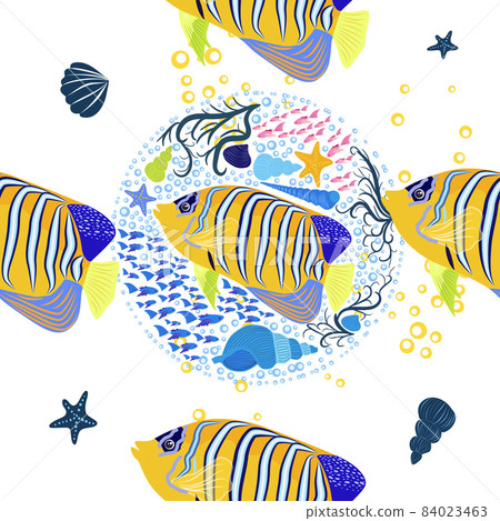 Emperor angelfish, Pomacanthus imperator... - Stock Illustration ...