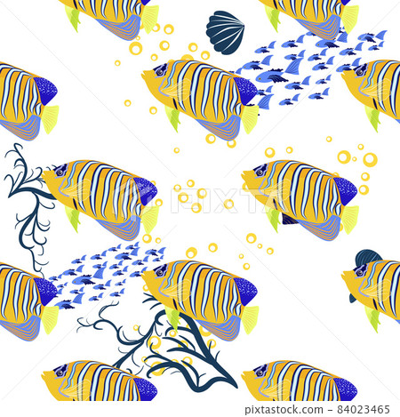Emperor angelfish, Pomacanthus imperator... - Stock Illustration ...