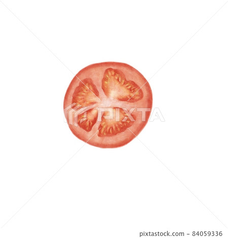 Cross-section illustration of cut fresh tomatoes - Stock Illustration ...