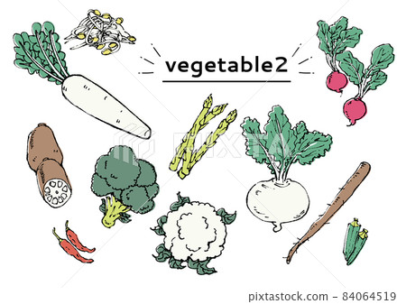 Simple vegetable set - Stock Illustration [84064519] - PIXTA