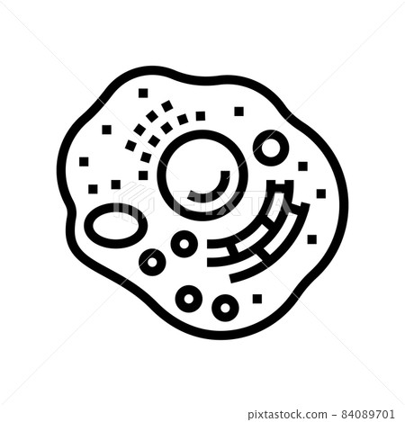 cell human line icon vector illustration - Stock Illustration [84089701 ...