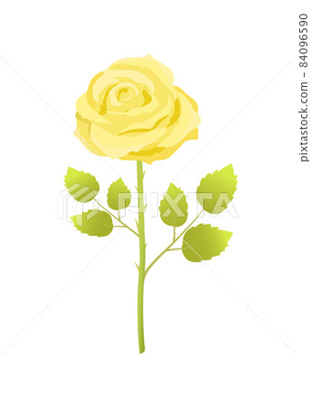 Yellow Rose Flower with Green Leaves on Long Stem - Stock Illustration ...