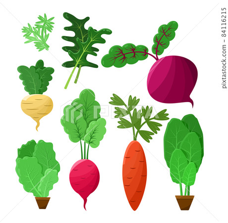Vitaminic Vegetable Collection Color Vector Poster - Stock Illustration ...