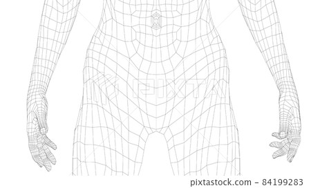 Wireframe female abdomen. 3d illustration - Stock Illustration ...