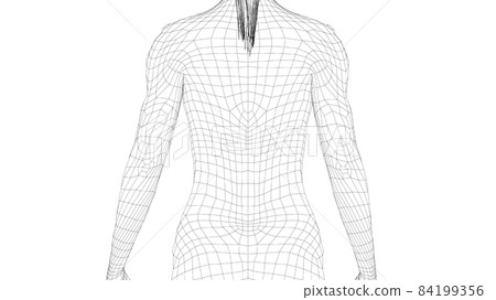 Wireframe back of a young woman - Stock Illustration [84199356] - PIXTA