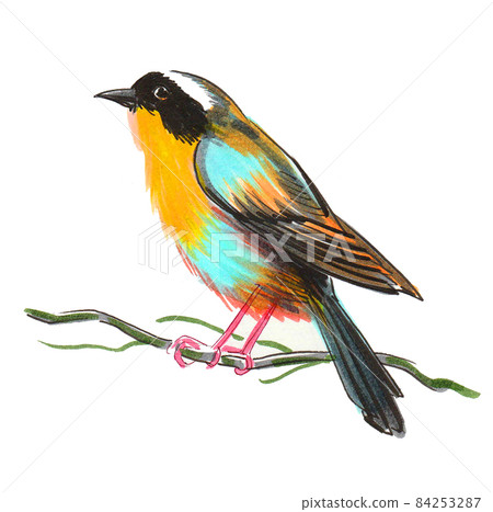 Cute bird sitting on a tree branch. Ink and... - Stock Illustration ...