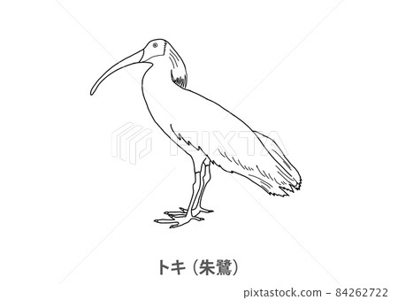 [Prefectural Bird] Toki (Crested Ibis) Niigata... - Stock Illustration ...