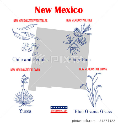New Mexico State Symbols