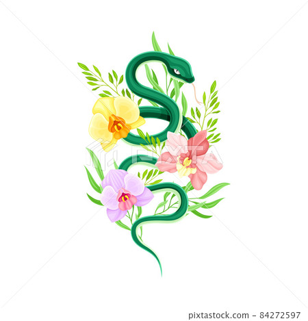 Green graceful snake coiled around beautiful... - Stock Illustration ...