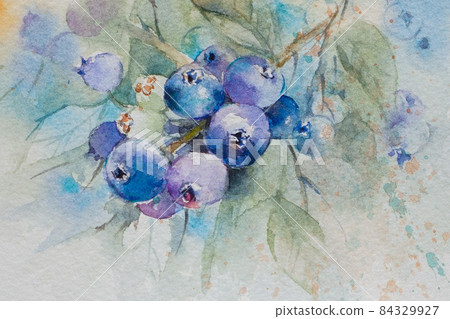 Blueberry watercolor painting - Stock Illustration [84329927] - PIXTA