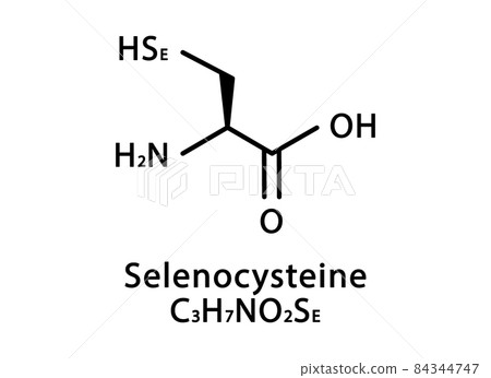 Selenocysteine molecular structure.... - Stock Illustration [84344747 ...