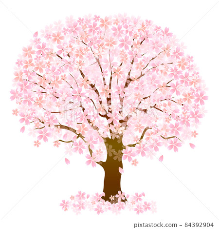 Sakura spring tree icon - Stock Illustration [84392904] - PIXTA