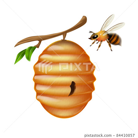 Yellow Bee Hive hanging on a branch, on white... - Stock Illustration ...
