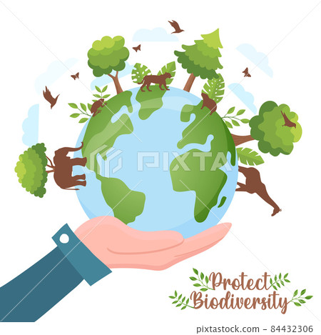 Protect biodiversity hand holding green planet - Stock Illustration ...