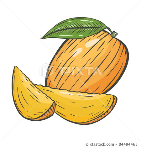 Whole and slices of mango isolated object - Stock Illustration ...
