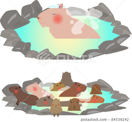 Capybara entering the hot spring - Stock Illustration [84539242] - PIXTA