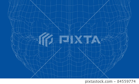 Wire-frame 3D teeth close up - Stock Illustration [84559774] - PIXTA