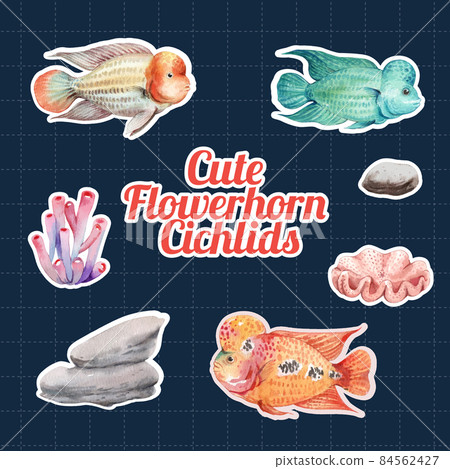 Sticker template with flower horn cichlid fish... - Stock Illustration ...