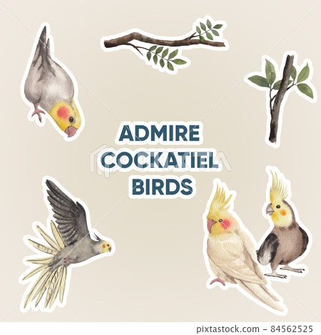 Sticker template with cockatiel bird...-插圖素材 [84562525] - PIXTA圖庫