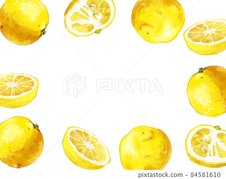 Hand-painted watercolor flower Yuzu... - Stock Illustration [84581610 ...