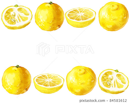 Hand-painted watercolor flower Yuzu... - Stock Illustration [84581612 ...