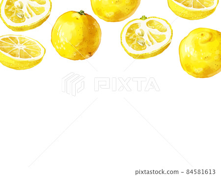 Hand-painted watercolor flower Yuzu... - Stock Illustration [84581613 ...