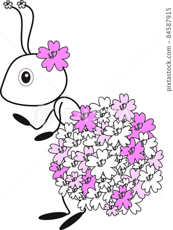 Ants in cherry blossoms - Stock Illustration [84587915] - PIXTA
