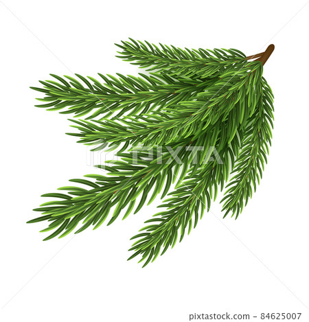 Fir tree branch on white background. Christmas... - Stock Illustration ...