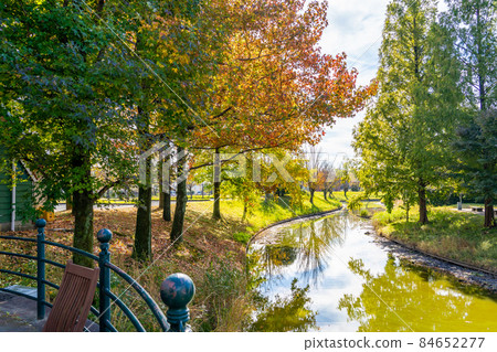 Aqua Paint Color Autumn Fall Birch Aspen Trees Painting On Canvas