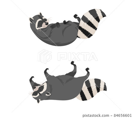 Cute funny raccoons front and side view set.... - Stock Illustration ...
