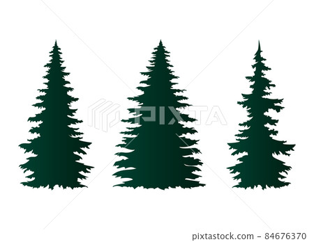 Spruce trees isolated on white. Vector... - Stock Illustration ...