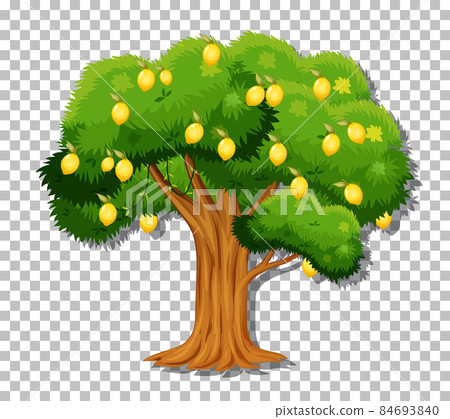 Lemon tree on transparent background - Stock Illustration [84693840 ...