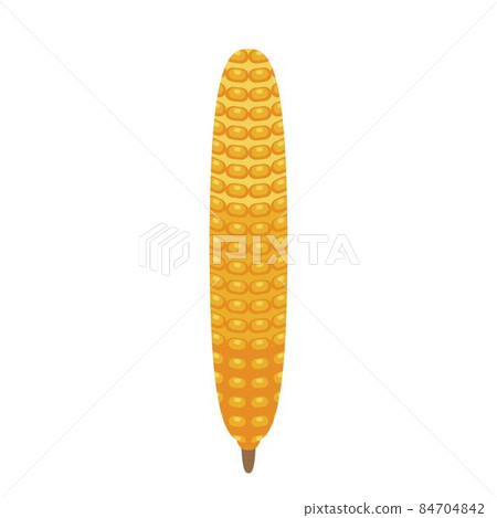 Corn icon, isometric style - Stock Illustration [84704842] - PIXTA