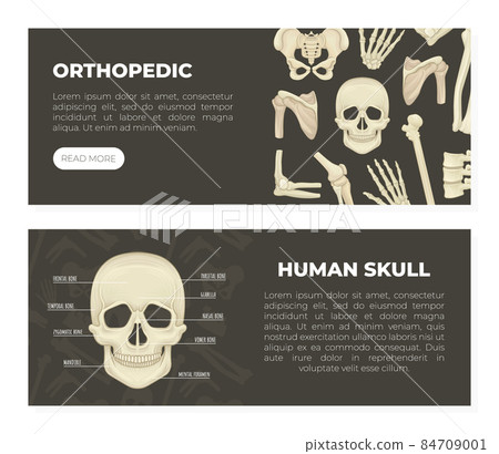 Human bones landing page templates set. Human... - Stock Illustration ...