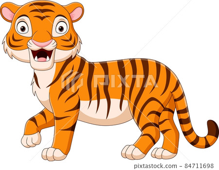 Cartoon tiger roaring on white background-插圖素材 [84711698] - PIXTA圖庫