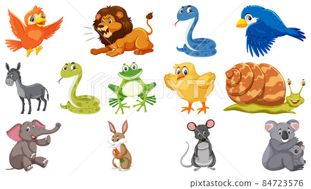 Set of various animals on white background - Stock Illustration ...