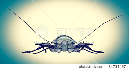 cockroach in wire carcass - Stock Illustration [84735467] - PIXTA
