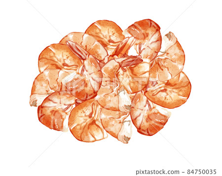 Hand-painted watercolor steamed shrimp... - Stock Illustration ...
