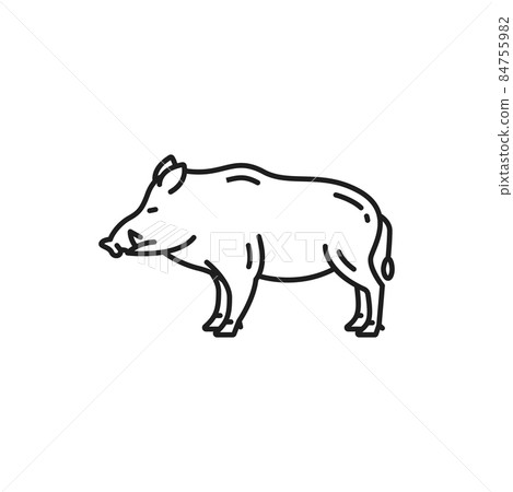 Wild pig or swine, German boar mammal isolated... - Stock Illustration ...