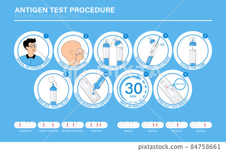 Influenza / COVID-19 Antigen Rapid Test... - Stock Illustration ...