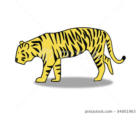 Tora illustration material - Stock Illustration [84801963] - PIXTA