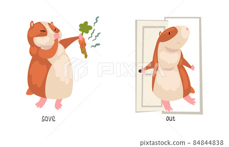 Cute Hamster Demonstrating English Language... - Stock Illustration ...