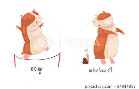 Cute Hamster Demonstrating English Language... - Stock Illustration ...
