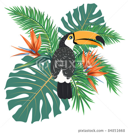 Toucan with tropical leaves - Stock Illustration [84851668] - PIXTA