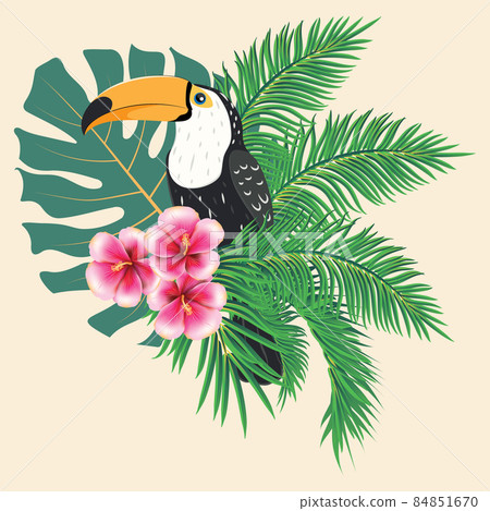 Toucan with tropical leaves - Stock Illustration [84851670] - PIXTA