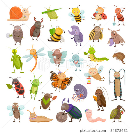 Cute Insect Characters-插圖素材 [84878481] - PIXTA圖庫