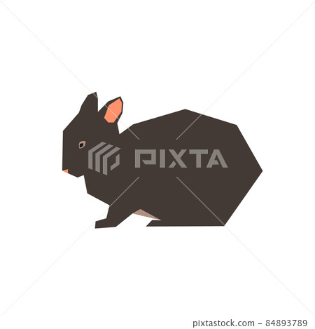 Illustration of Amami rabbit - Stock Illustration [84893789] - PIXTA