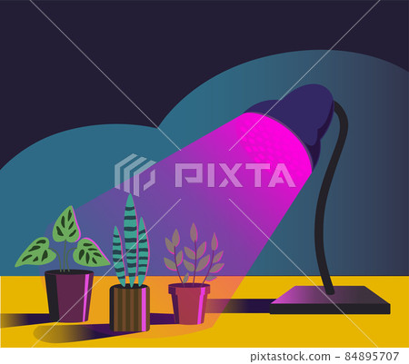 House gardening plants under purple light of... - Stock Illustration ...